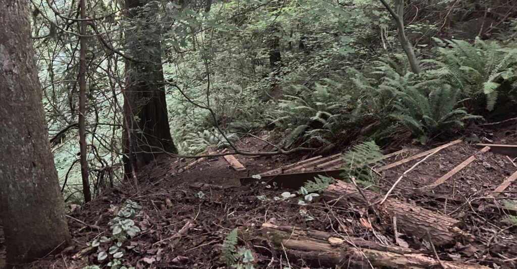 When AI is Horribly Lost Down the Wrong Path